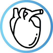 Why are we different? - Cell Genesis